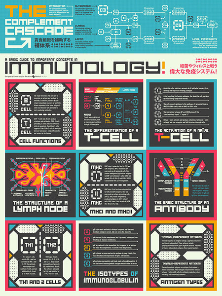 Basic Guide to Immunology Poster – NerdcoreMedical