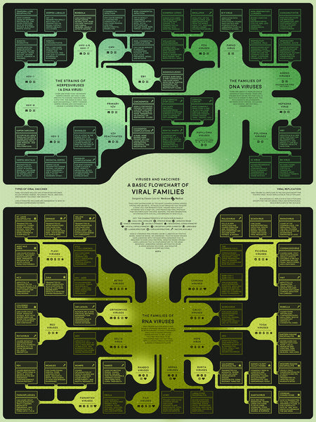 Virus Classification Flowchart Poster – NerdcoreMedical