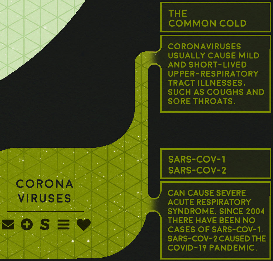 Virus Classification Flowchart Poster – NerdcoreMedical