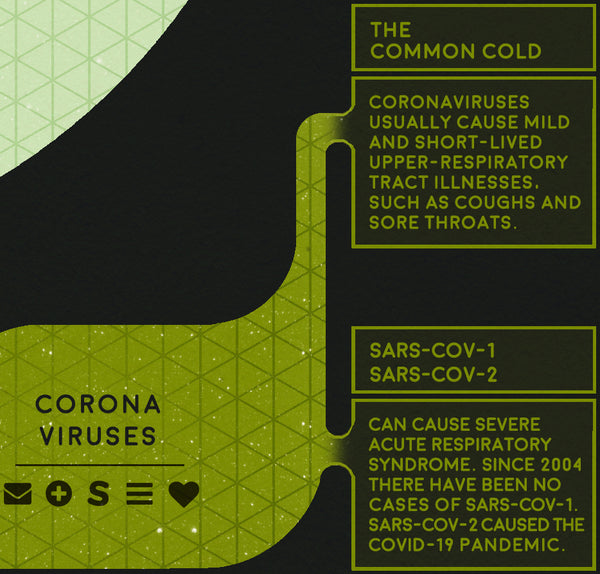 Virus Classification Flowchart Poster – NerdcoreMedical