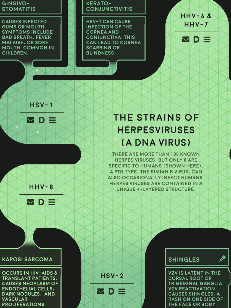 Virus Classification Flowchart Poster – NerdcoreMedical