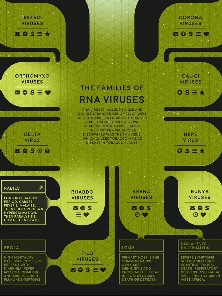Virus Classification Flowchart Poster – NerdcoreMedical