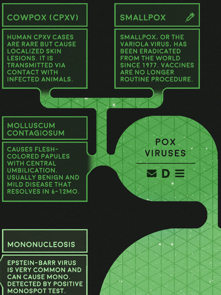 Virus Classification Flowchart Poster – NerdcoreMedical