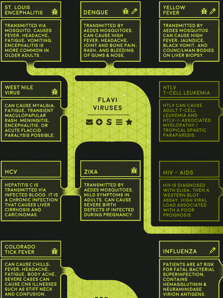 Virus Classification Flowchart Poster – NerdcoreMedical