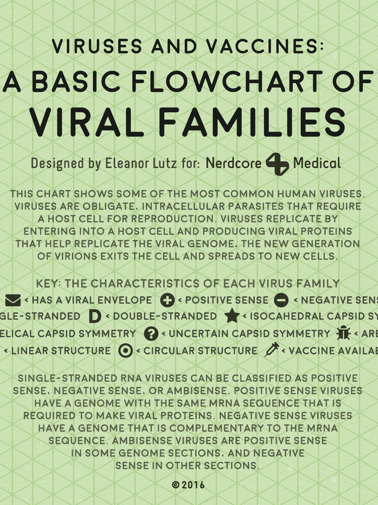 Virus Classification Flowchart Poster – NerdcoreMedical
