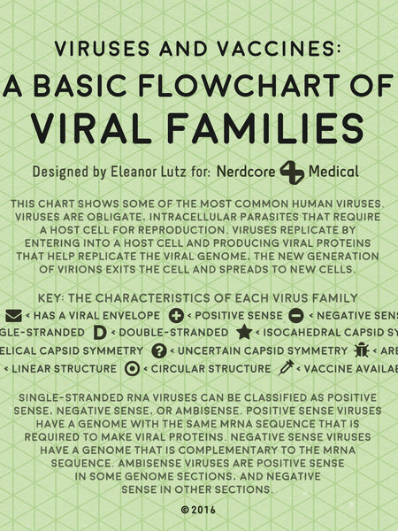 Virus Classification Flowchart Poster – NerdcoreMedical